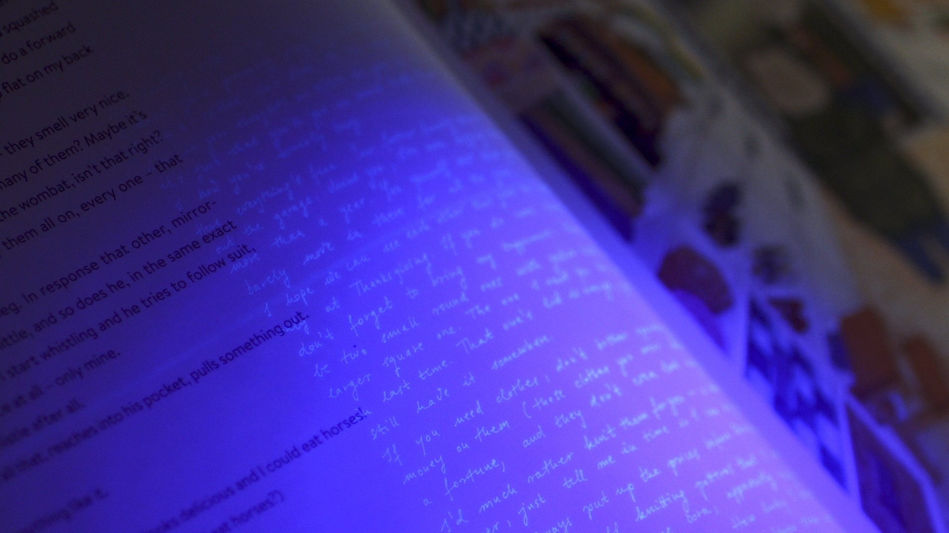 Soft Opening the Blacklight Book Full of Surprises - Etsy