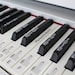 Piano Stickers 88 Key Set for the Black and White Keys, Laminated ...