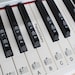 Piano Stickers 61 Key Set for the Black & White Keys - Etsy