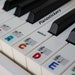 Piano Stickers for 61 Key Piano or Keyboard 36 White Key Kids Monster ...