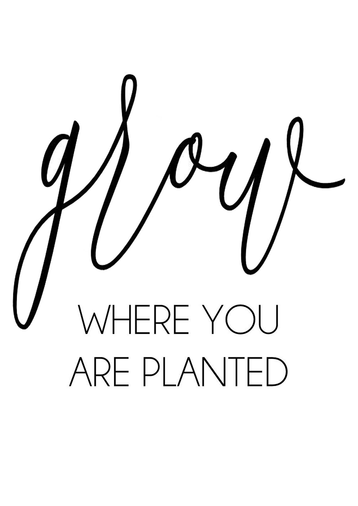 Grow Where You Are Planted Quote Print, Plant Quotes Printable Wall Art ... Grow Where You Are Planted Quote Print, Plant Quotes Printable Wall Art ...