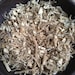 Marshmallow Root Cough Syrup-taos New Mexico-2oz - Etsy