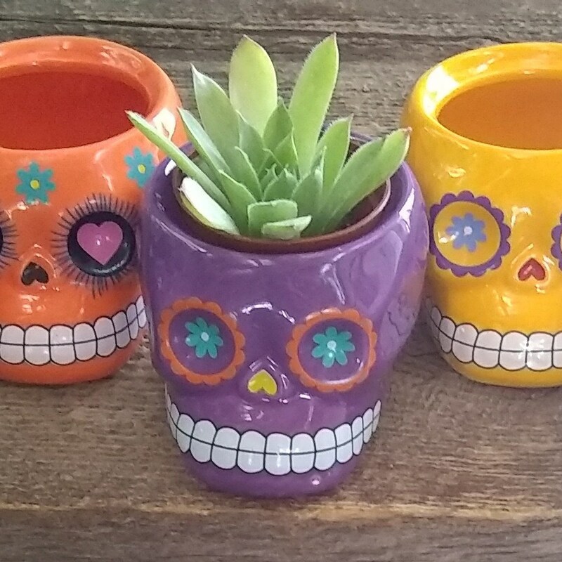 Skull Planter - Etsy