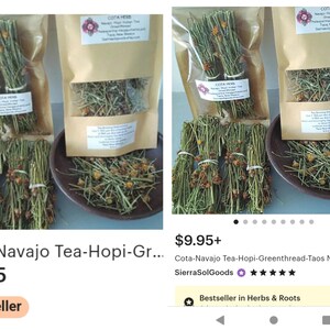 Cota-navajo Tea-hopi-greenthread-wildcrafted-taos NM - Etsy
