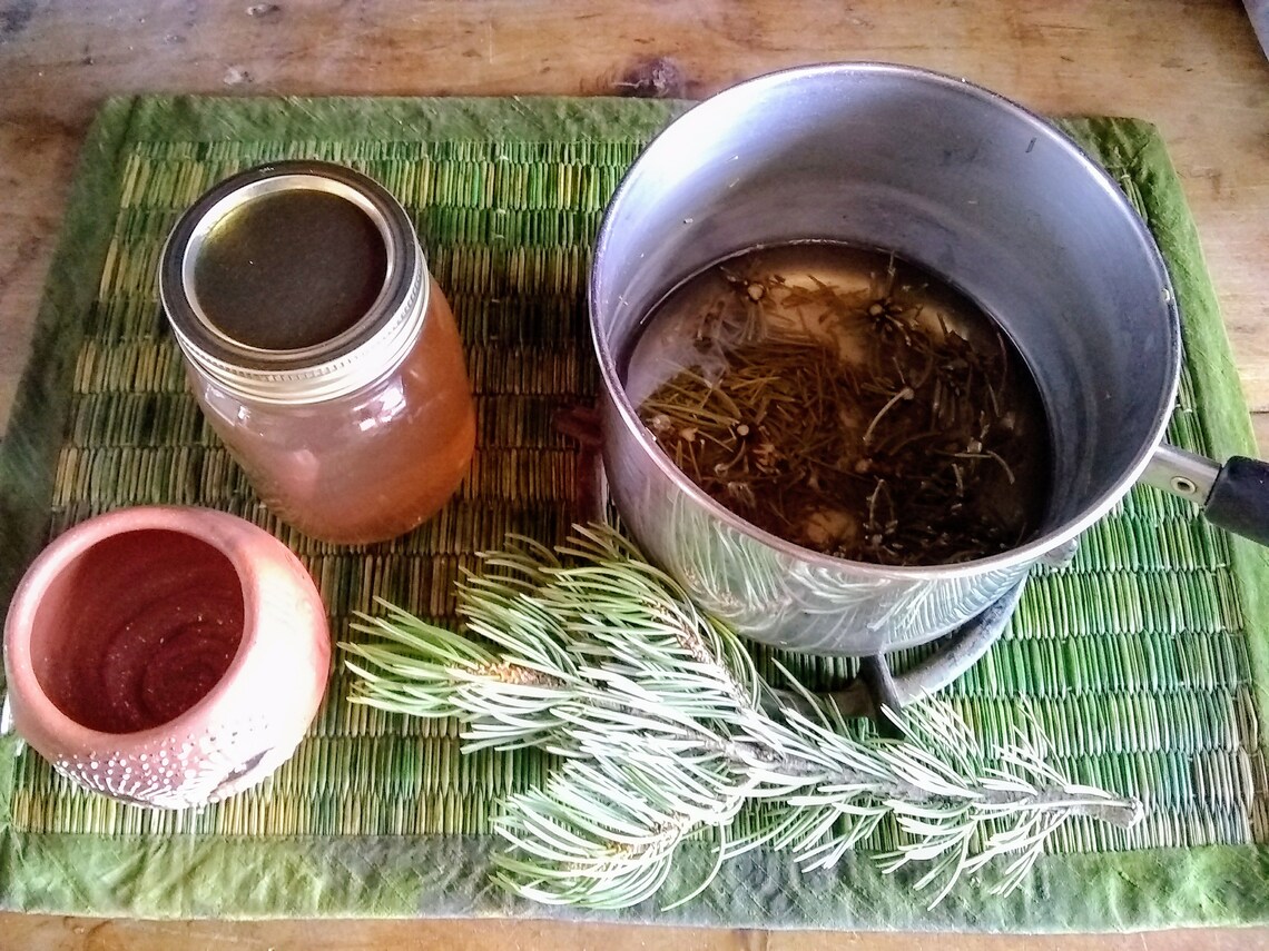 Piñon Pine Needles-dried/fresh/fresh Cut Boughs-pine Needle Tea-incense ...