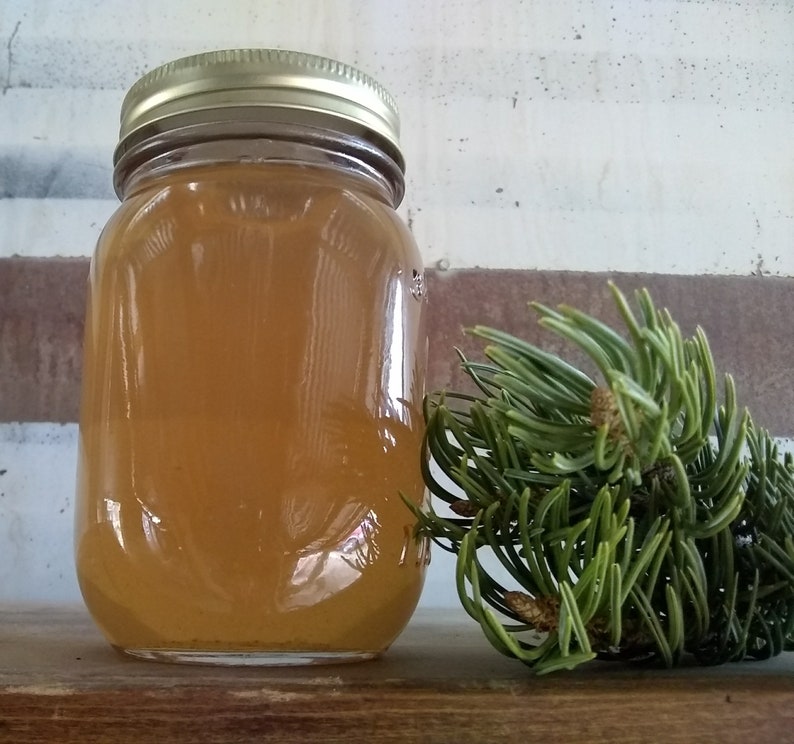 Piñon Pine Needles-dried/fresh/fresh Cut Boughs-pine Needle Tea-incense ...