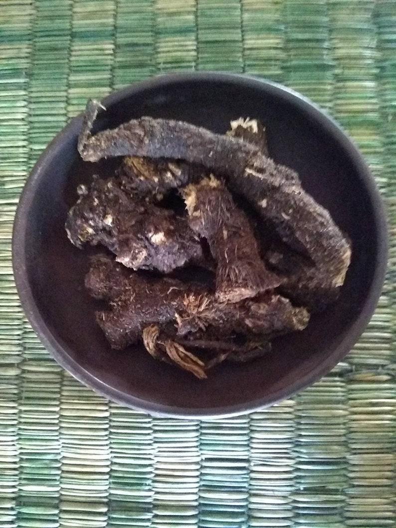 Osha & Marshmallow Root Cough Syrup-taos New Mexico-2oz - Etsy