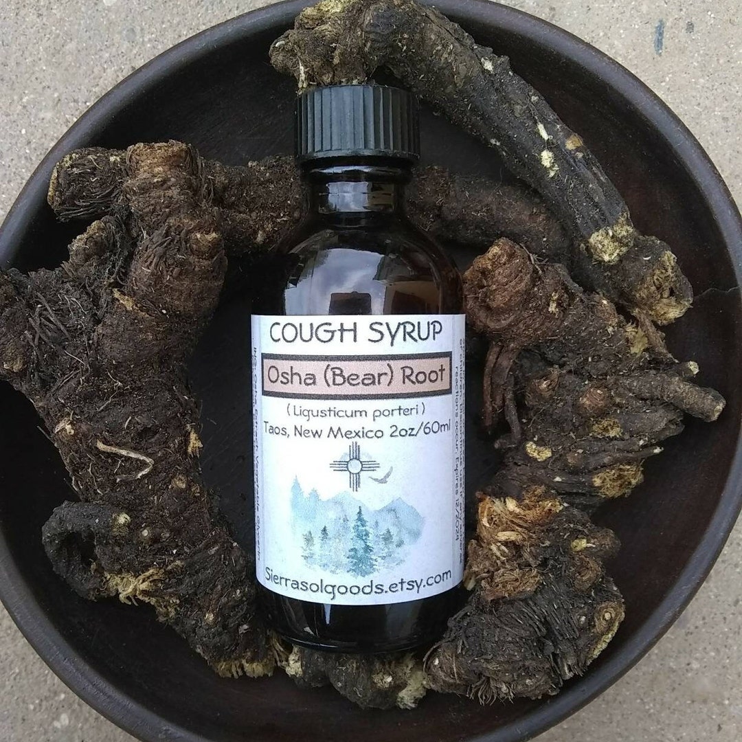 Osha Cough Syrup-osha Root-bear Root-taos New Mexico-2oz - Etsy
