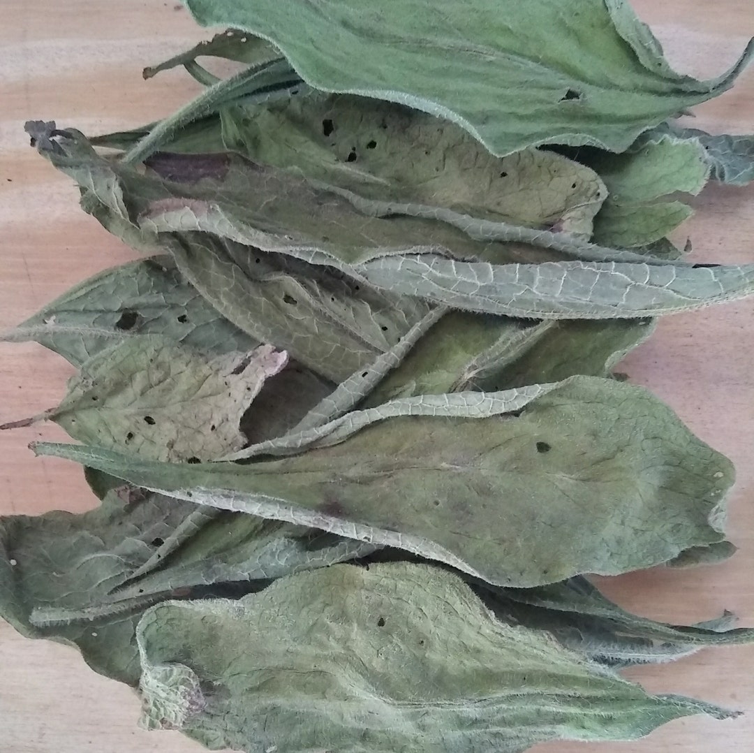Dried Comfrey Leaf-loose Whole Leaf-garden Grown Taos NM - Etsy