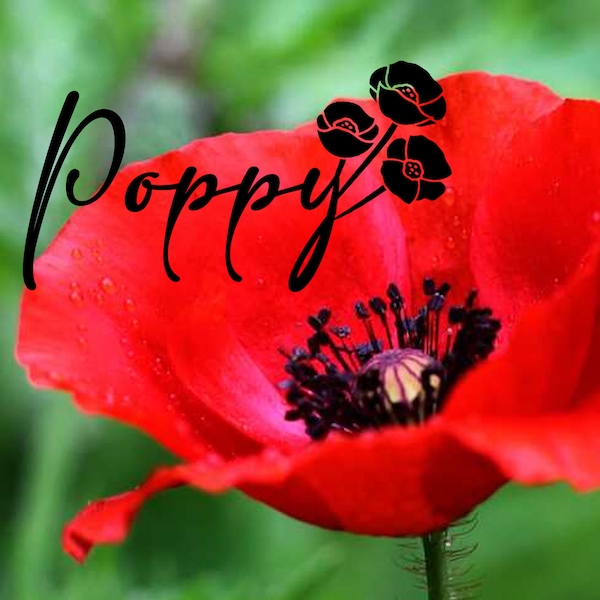 Flower Name Decal - Etsy