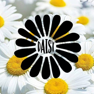 Daisy Flower Name Vinyl Decal-sticker-custom - Etsy