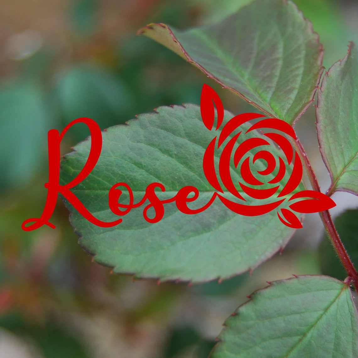 Rose Flower Name Vinyl Decal-sticker-custom - Etsy