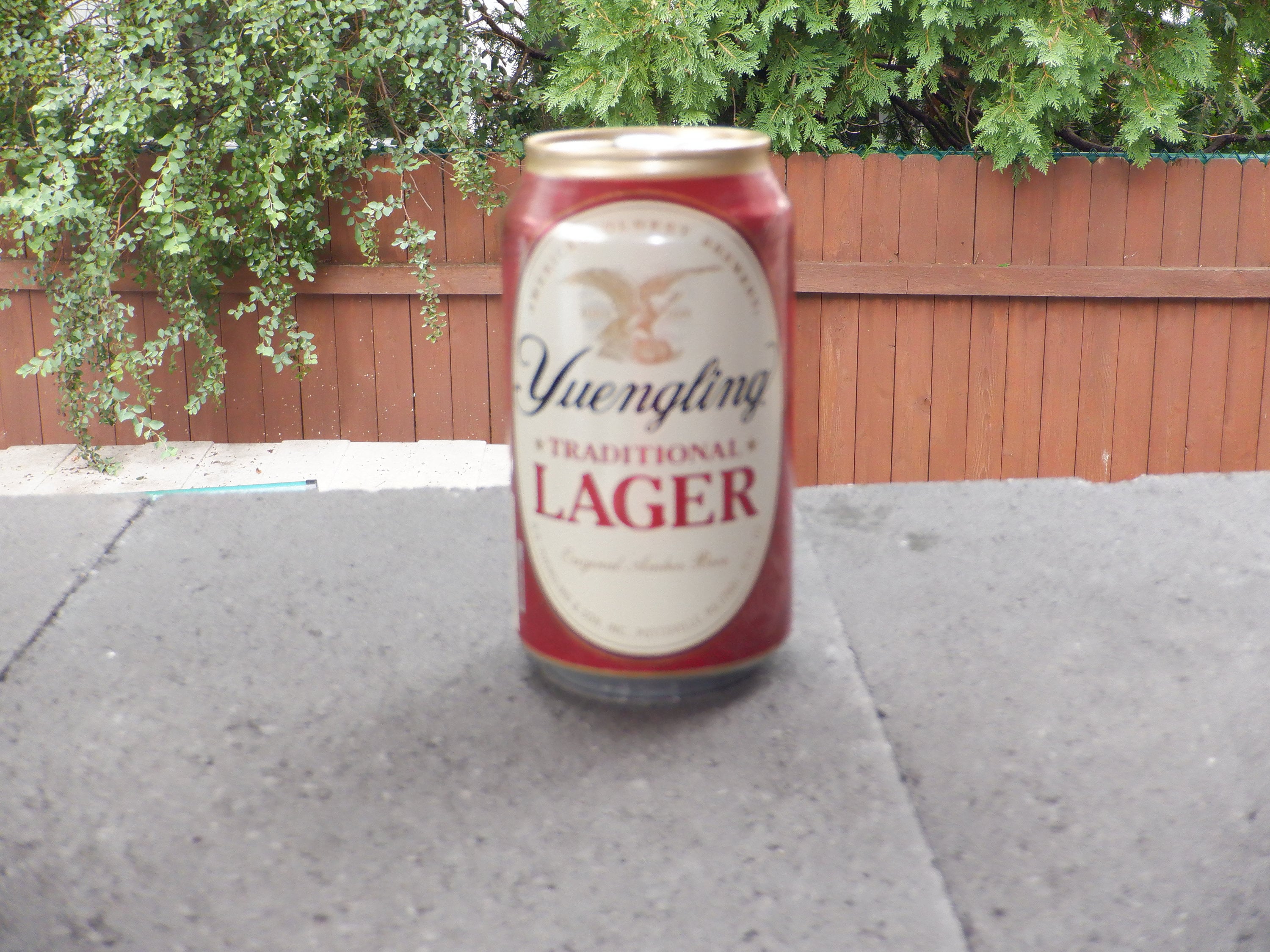 Yuengling Beer Can Candle - Yuengling Beer Candle - Yuengling Phillies ...