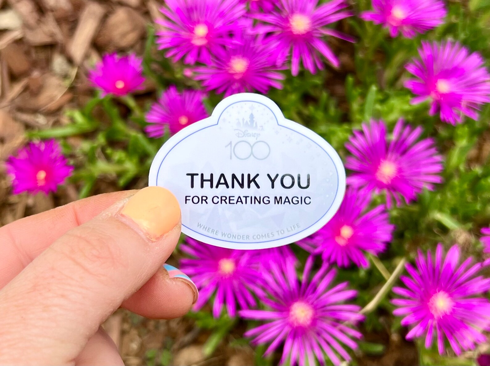 Disneyland 100 Years Cast Member Thank You Gift Sticker Pack, Cast ...
