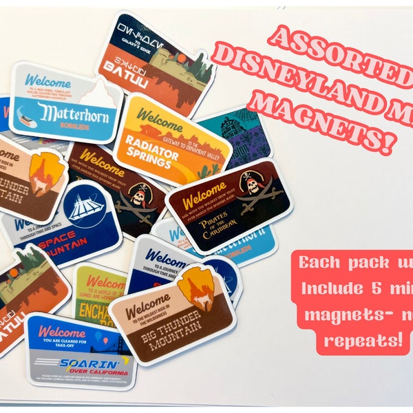 Disneyworld Car Magnets - Etsy