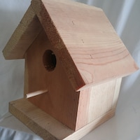The Starling - DIY Birdhouse Kit: Create Your Feathered Friends' Dream ...