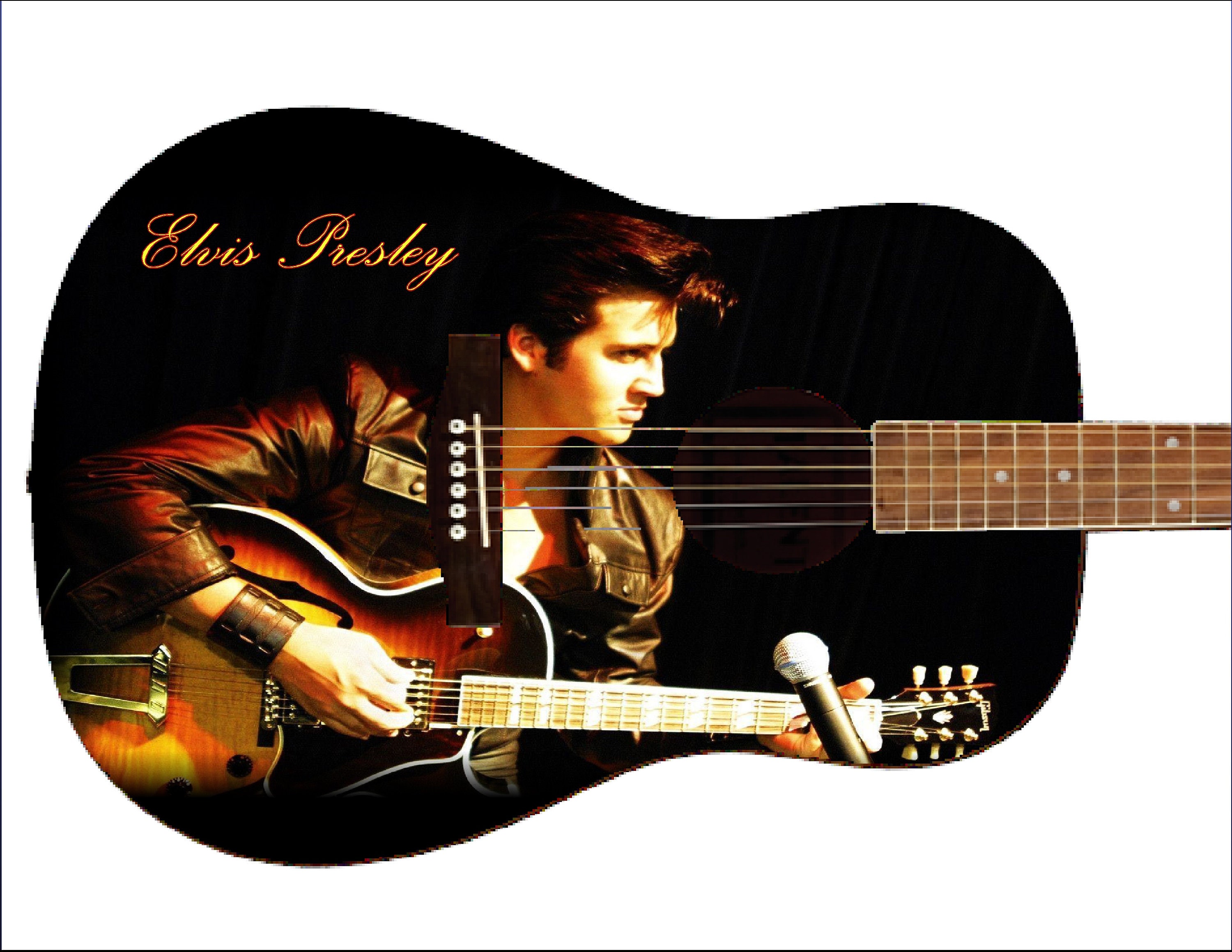 Elvis Presley Guitar
