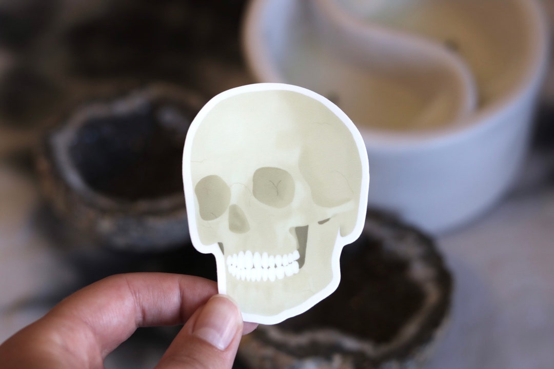 Skeleton Skull Sticker - Etsy