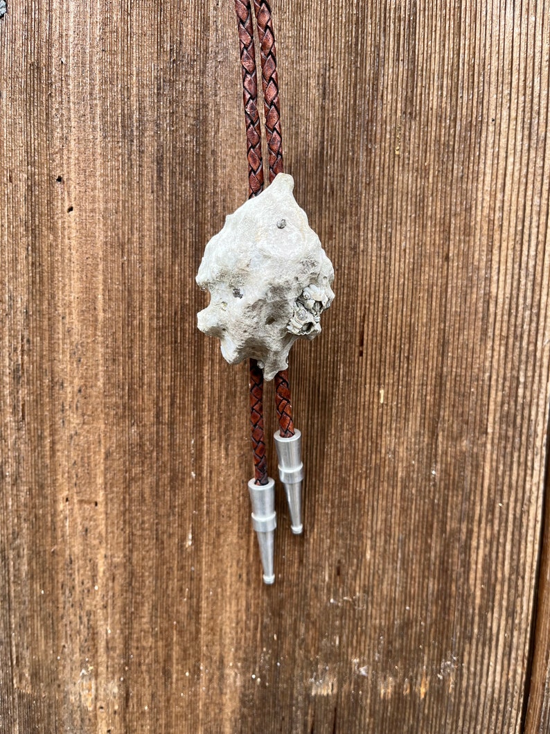 Modern Bolo Tie | Ocean Shell - Handmade in WA - Etsy