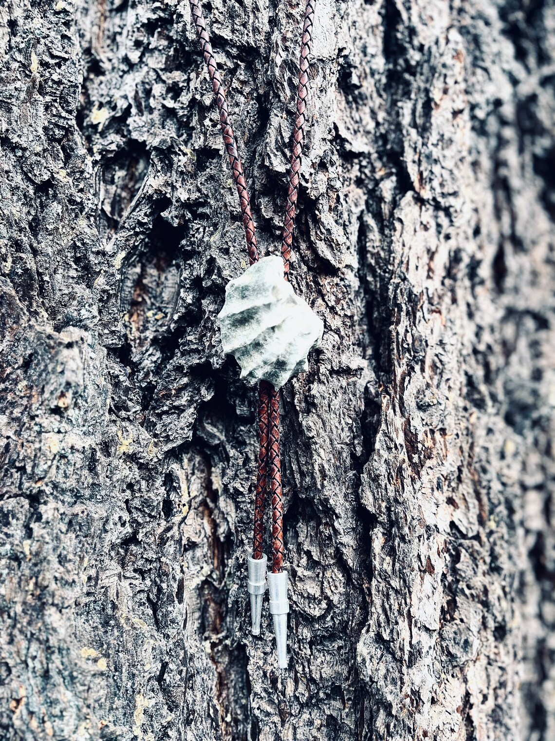 Modern Bolo Tie | Ocean Shell - Handmade in WA - Etsy