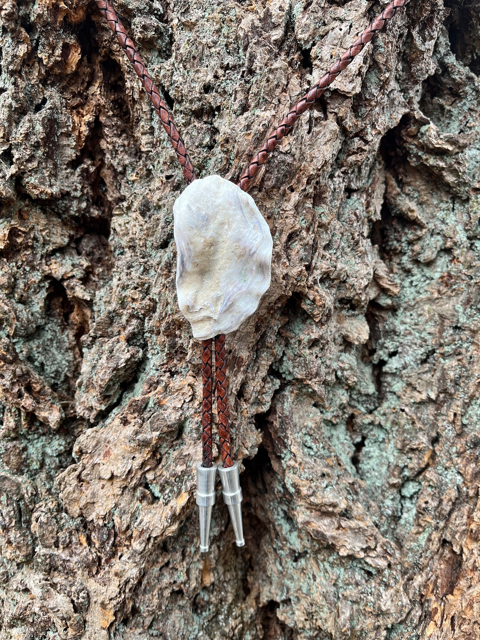 Modern Bolo Tie | Ocean Shell - Handmade in WA - Etsy