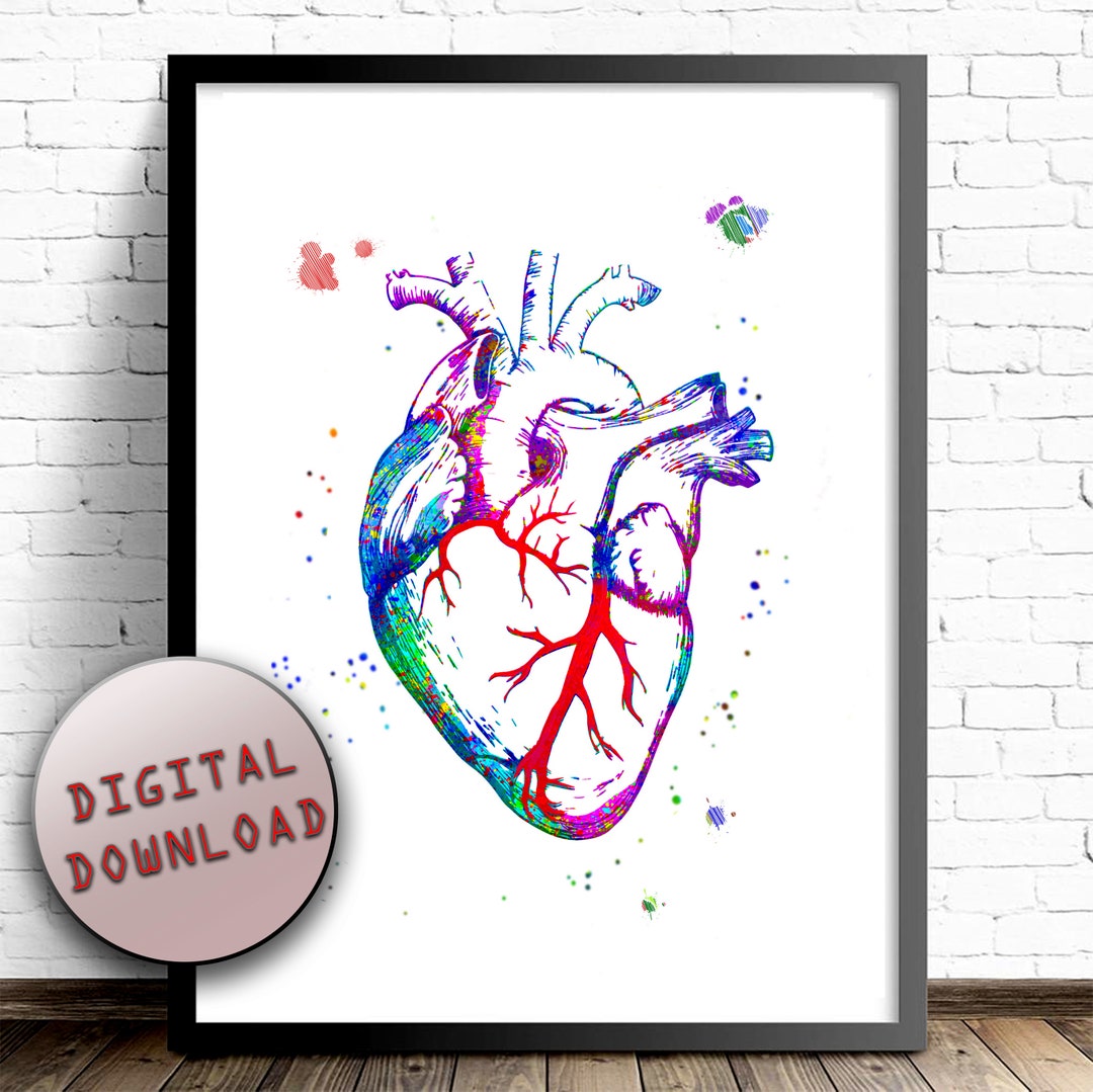 HUMAN HEART Watercolor Print Poster Medical Art Anatomy Art Heart ...