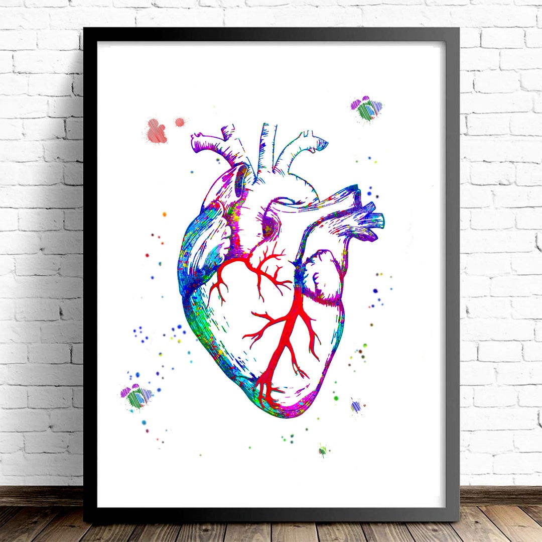 HUMAN HEART Watercolor Print Poster Medical Art Anatomy Art Heart ...