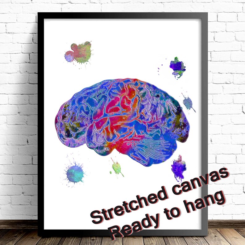 HUMAN BRAIN ANATOMY Neurology Illustration Anatomy Art Watercolor Print ...