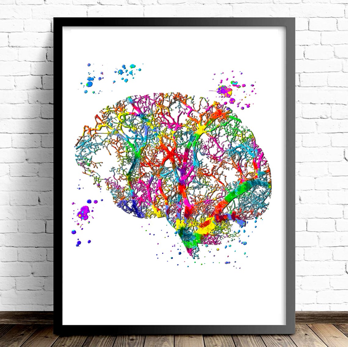 HUMAN BRAIN Cross Section Limbic System Medical Art Neurology ...