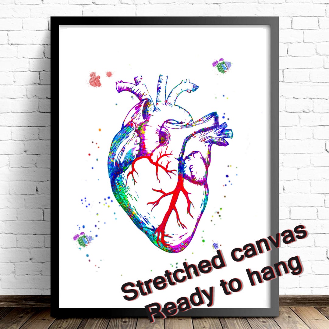 HUMAN HEART Print Poster Medical Art Anatomy Art Heart Illustration ...