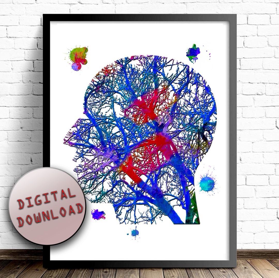 HUMAN HEAD Neurology Poster Head Anatomy Watercolor Print Clinic Decor ...