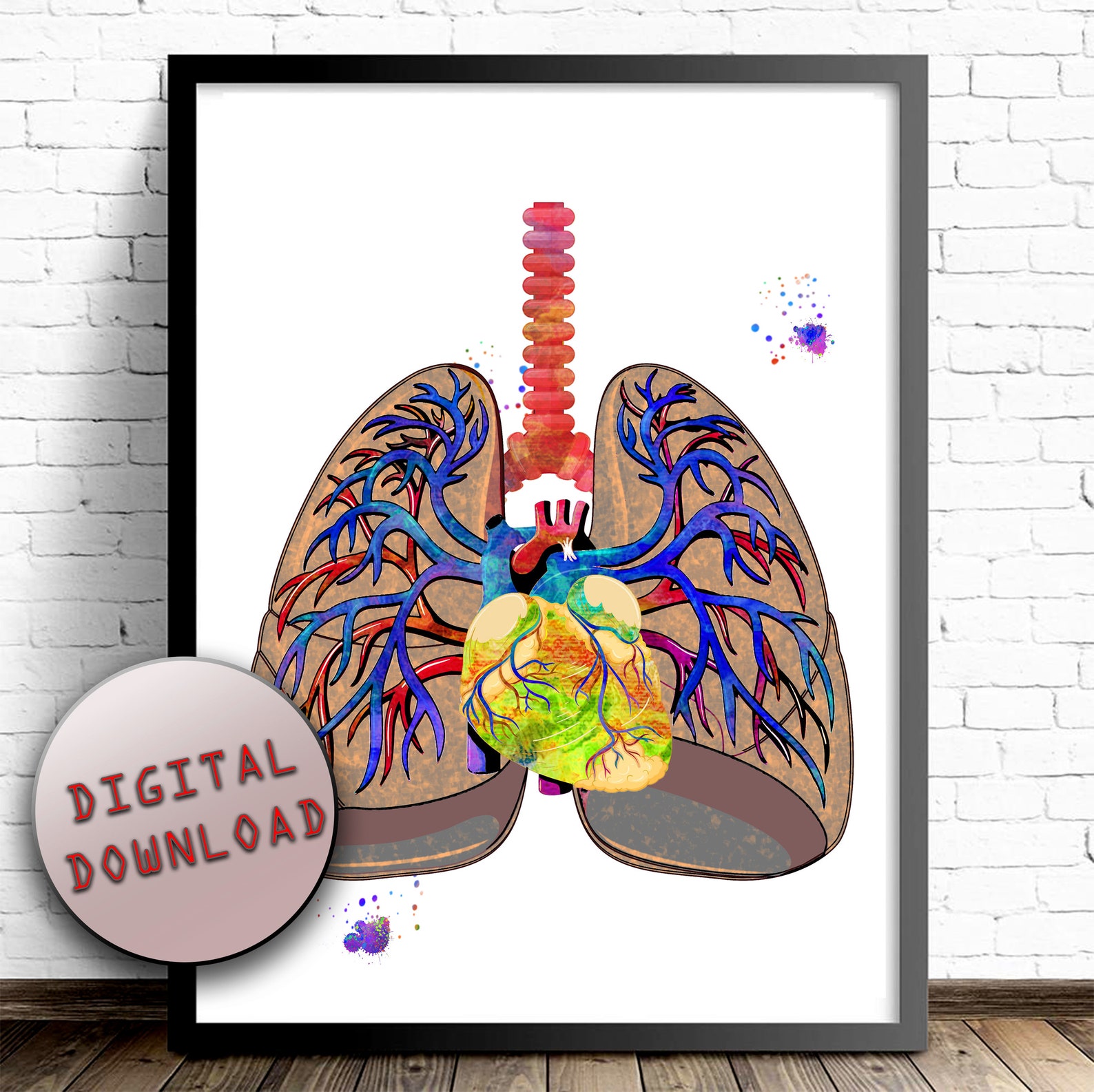 LUNGS and HEART Poster Print Cardiovascular and Respiratory System Art ...