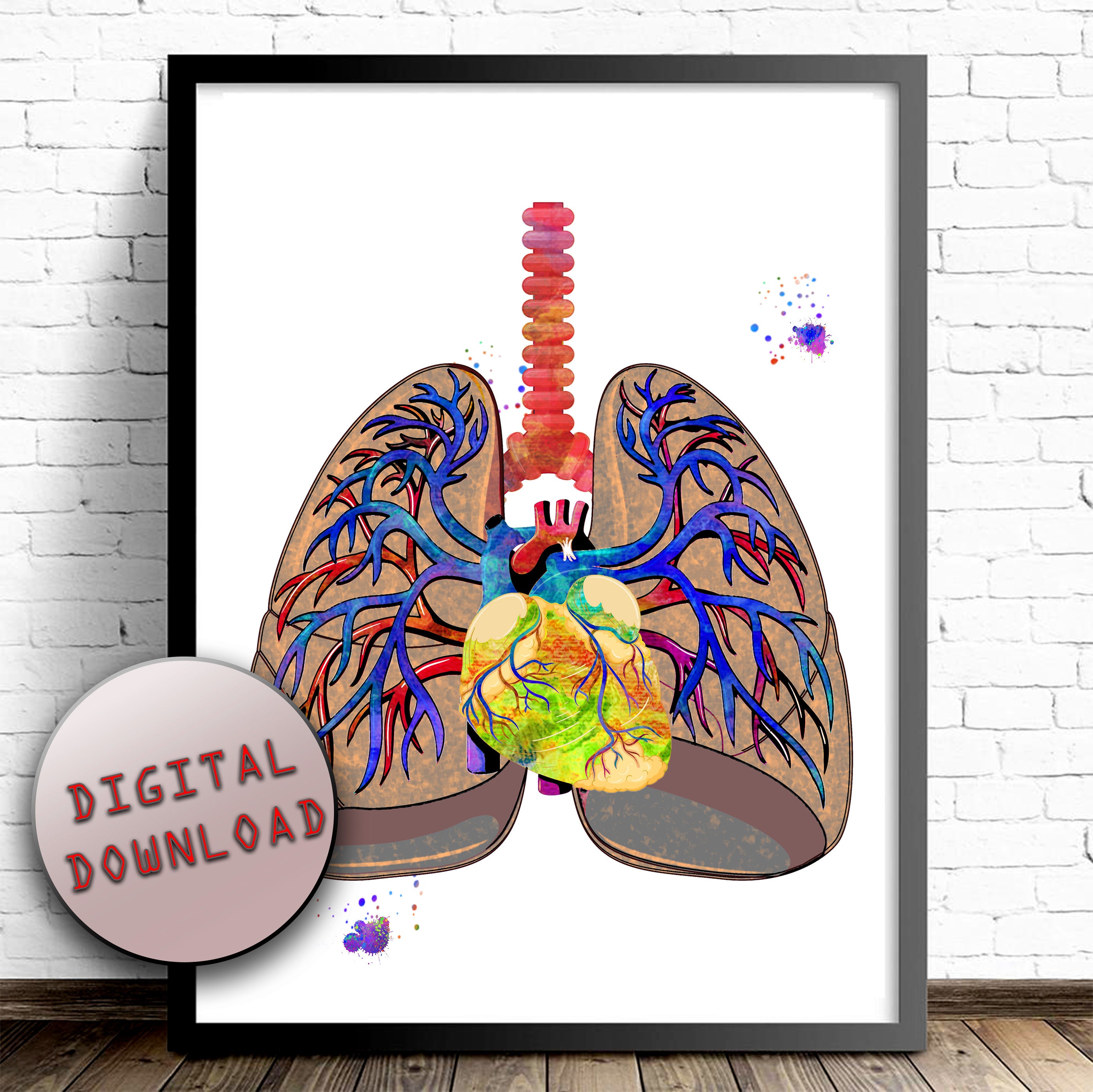 LUNGS and HEART Poster Print Cardiovascular and Respiratory System Art ...
