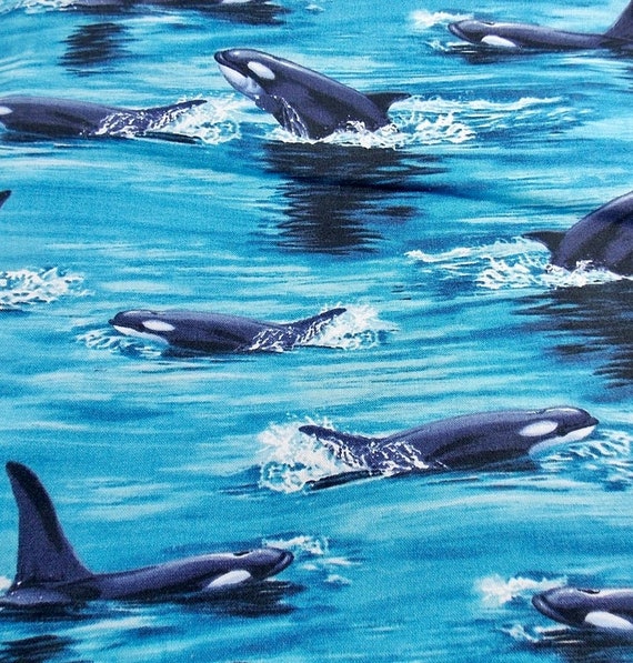Orca KILLER WHALE OCEAN 100% Cotton Fabric 1/4 or 1/2 Yard | Etsy
