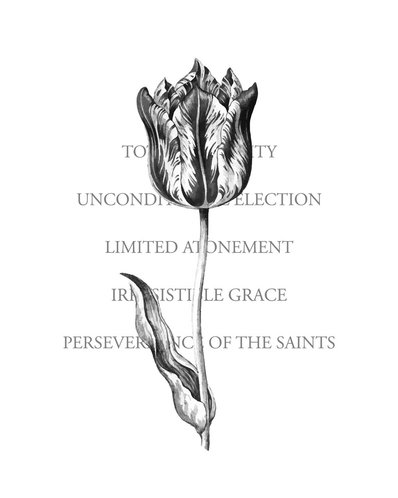 Doctrines of Grace Poster / TULIP / Theology Art / - Etsy