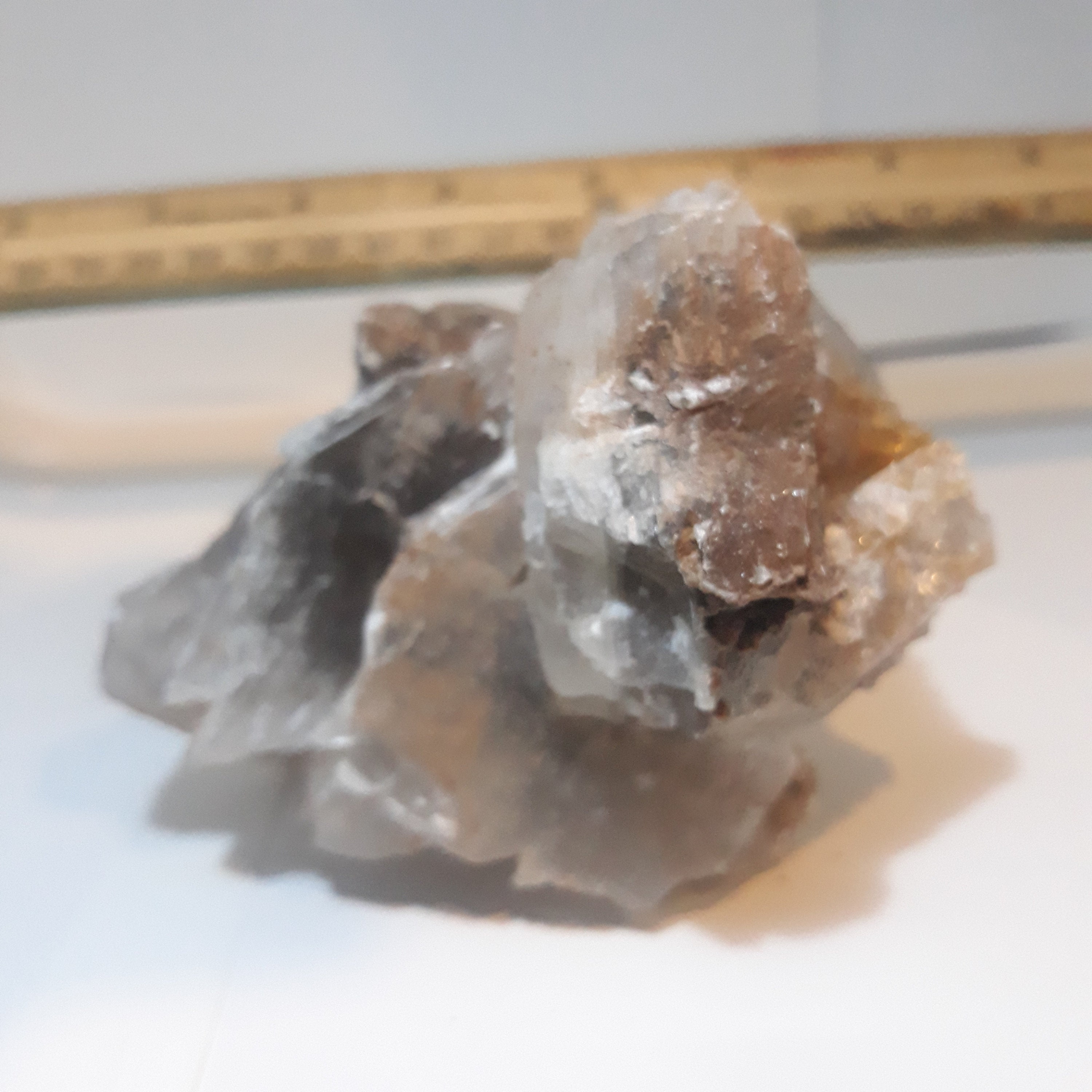 Golden Phantom Fishtail Selenite Cluster RARE Coal Inclusions - Etsy