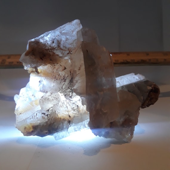 Golden Phantom Fishtail Selenite Cluster RARE Coal Inclusions - Etsy