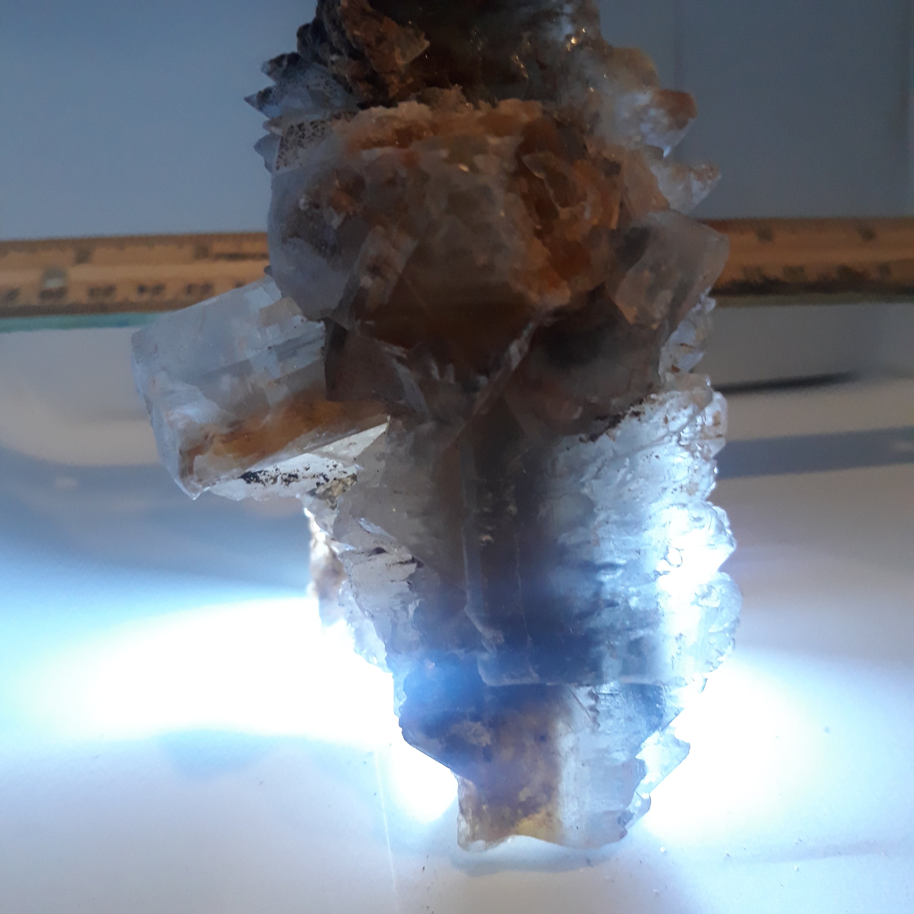 Golden Phantom Fishtail Selenite Cluster RARE Coal Inclusions - Etsy