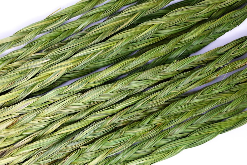 Sweetgrass Braid, 15 - 19 Inches Long - Etsy
