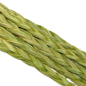 Sweetgrass Braid, 20+ Inches Long - Etsy