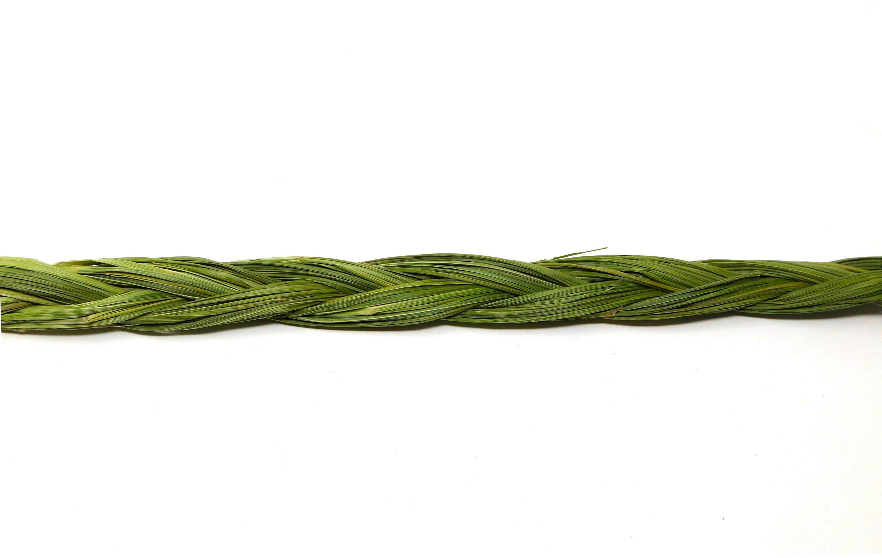 Sweetgrass Braid, 15 - 19 Inches Long - Etsy