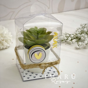 Acetate Box Molds XOXO Love Collection, Valentine's Day, Easy Assembly ...