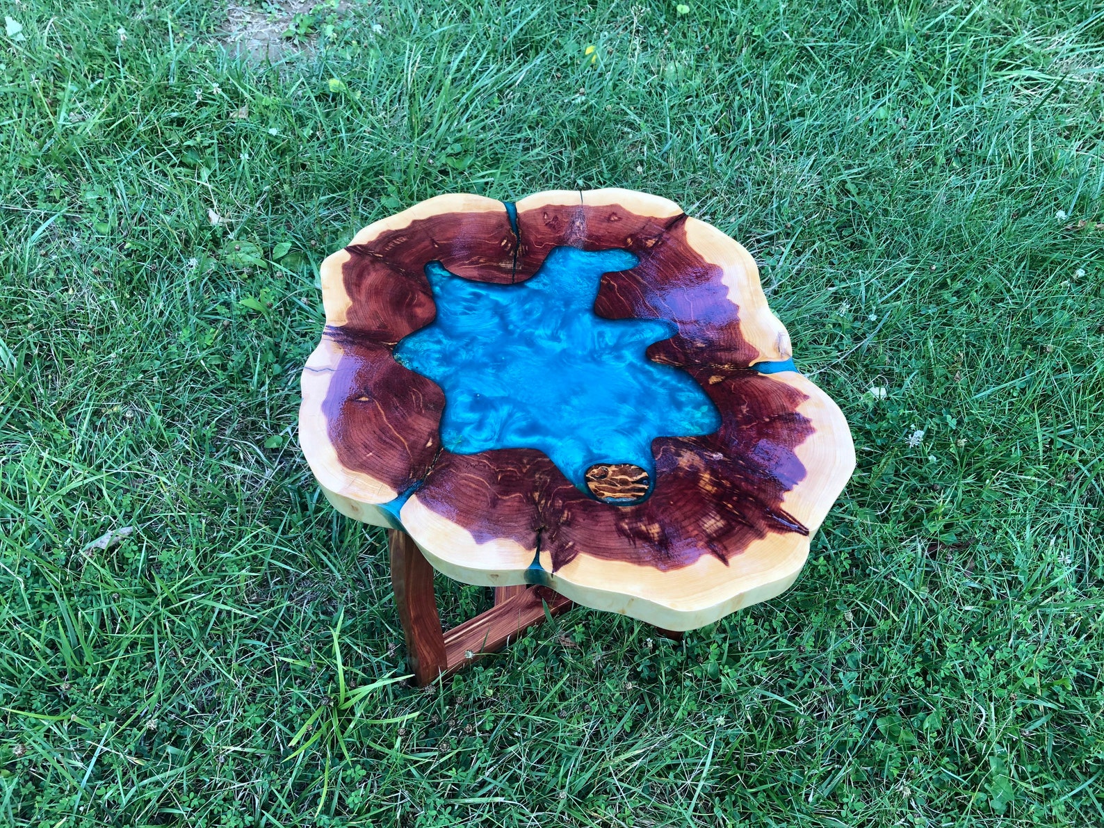 Cedar River Tree Stump Coffee Table - Etsy