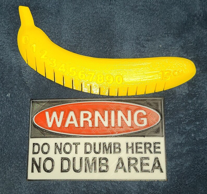 WARNING: DO NOT Dumb Area | Etsy