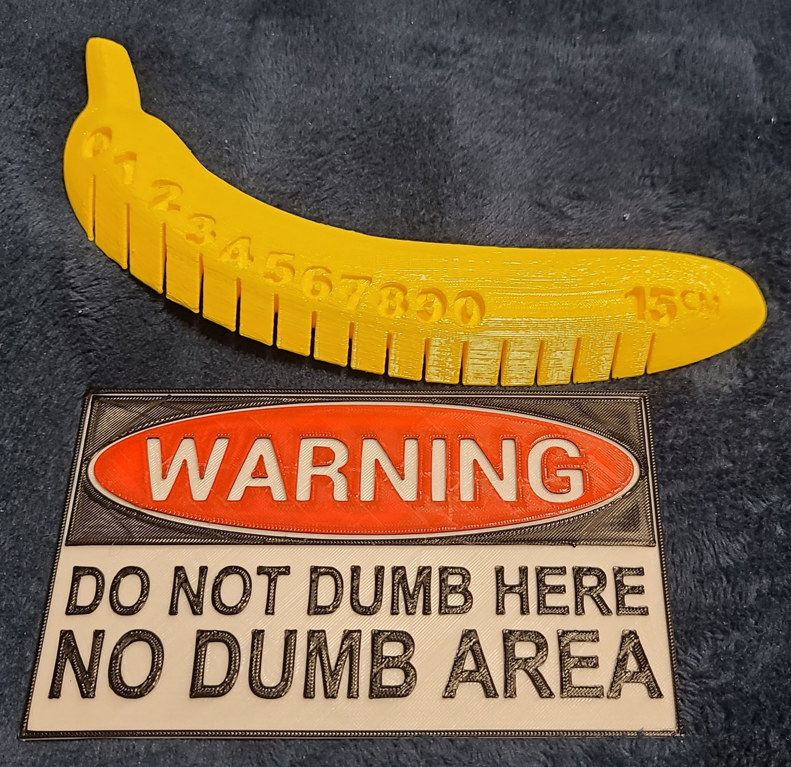 WARNING: DO NOT Dumb Area - Etsy