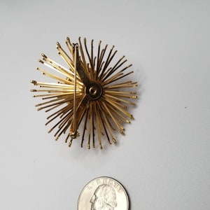 Sea Urchin Wink - Gold Tone Eyeball Brooch Pin - Etsy