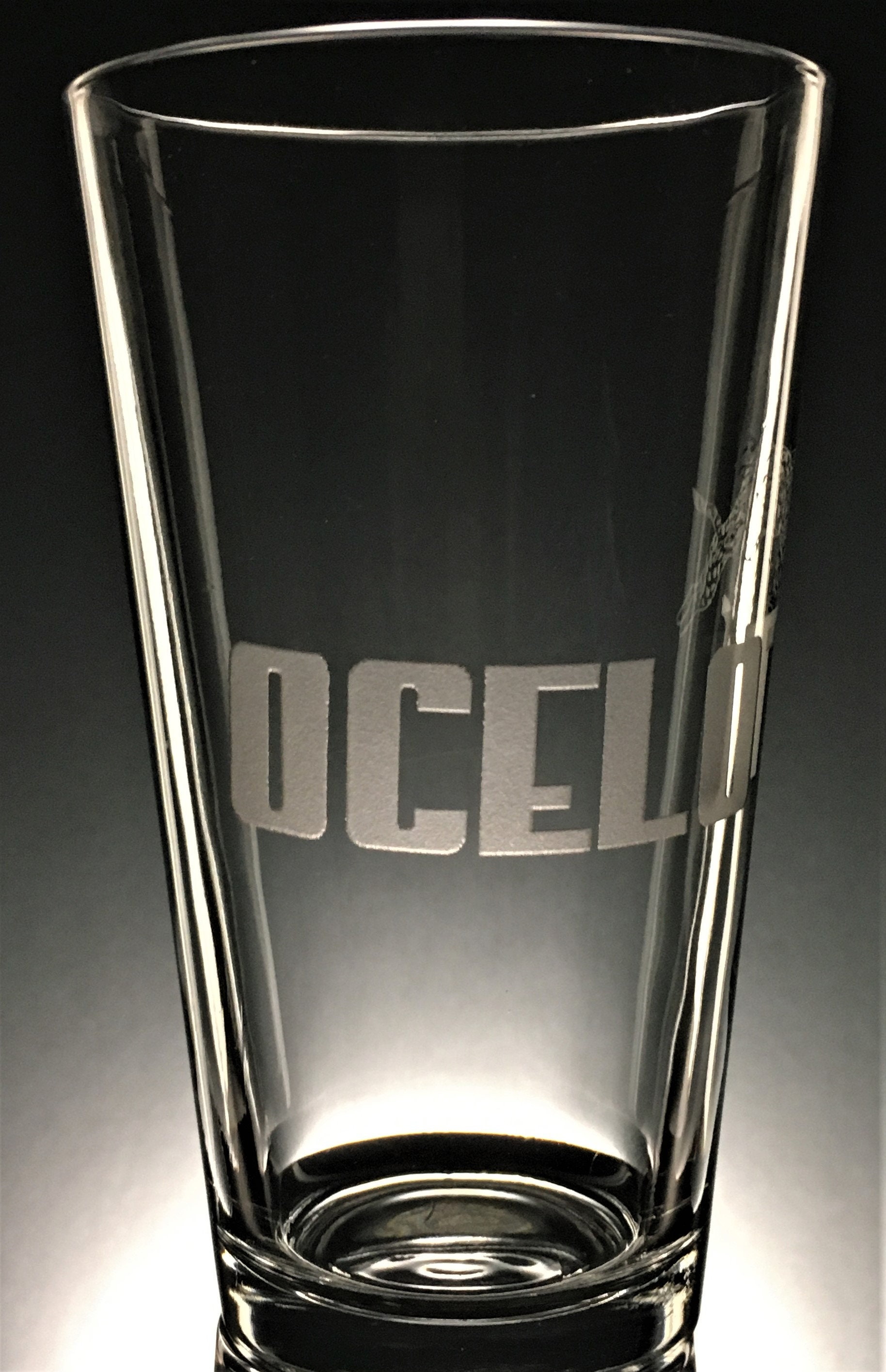 Phish Ocelot Sandblasted 16oz.pint Glass - Etsy