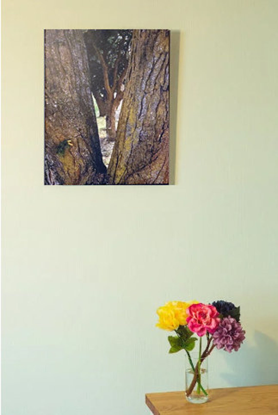 What's Beyond Tree Photograph and Canvas by Donna Langsett - Etsy
