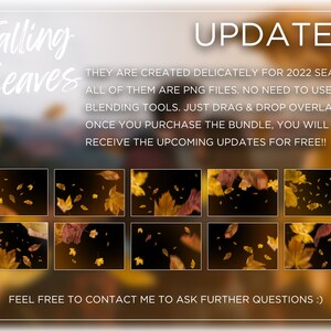 130 Falling Leaves Photo Overlays, Fall Overlays, Autumn Overlays ...