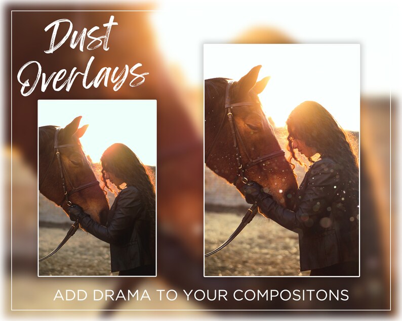 150 DUST OVERLAYS Floating Dust Falling Dust Bokeh Dust - Etsy